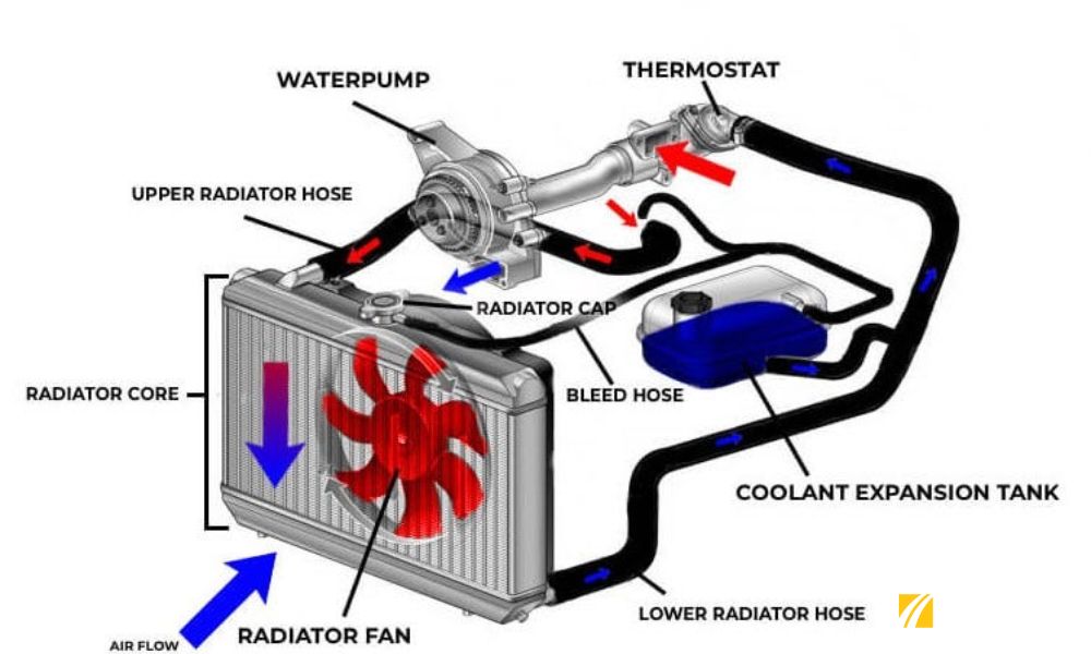 Car Radiator Parts Auto Spare Parts Water Cooling System Oil Cooler