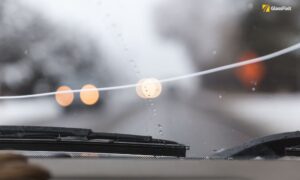 All About Rear Windshield Lines: GlassFixit